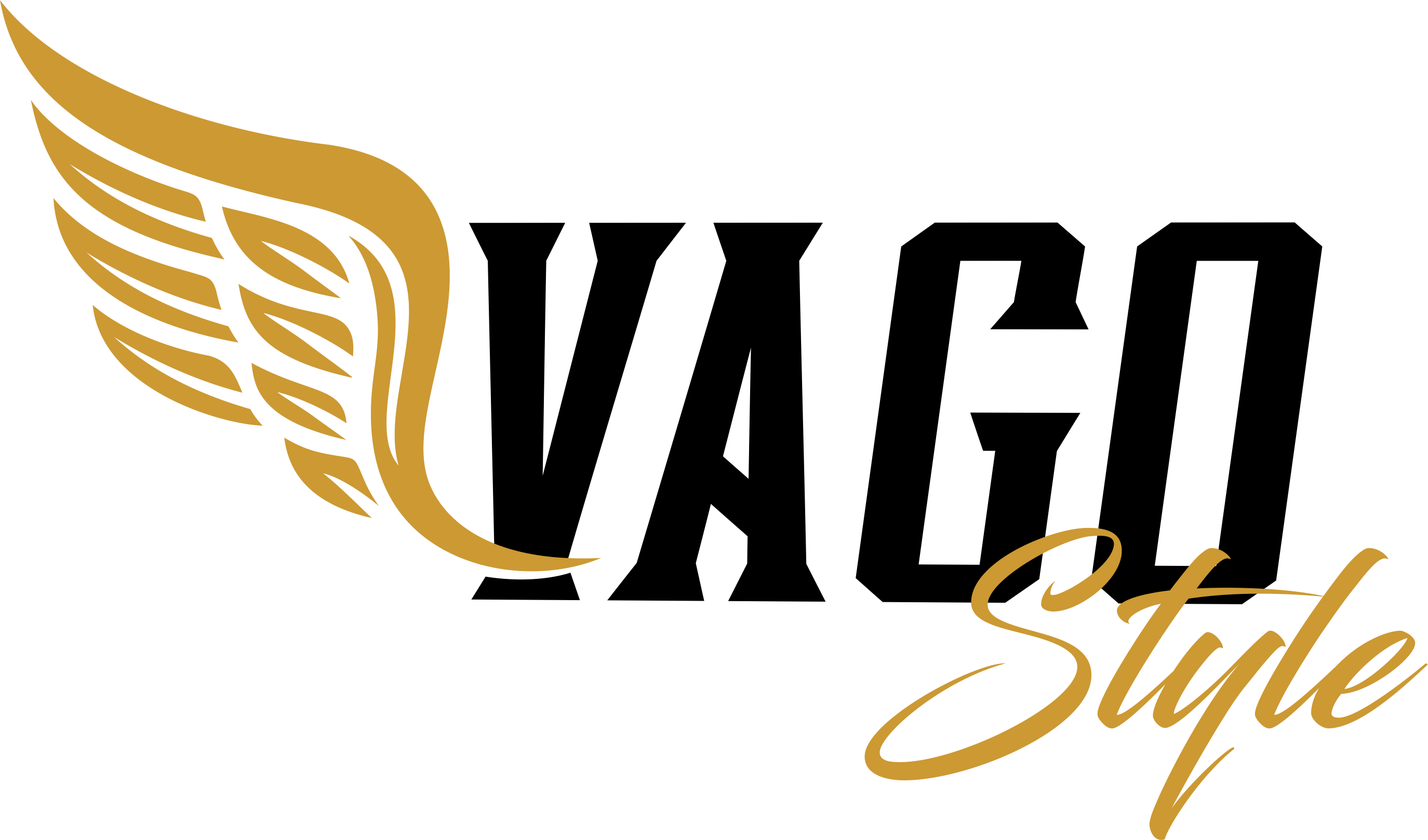 VAGO Lifestyle Clothing – VAGOStyle